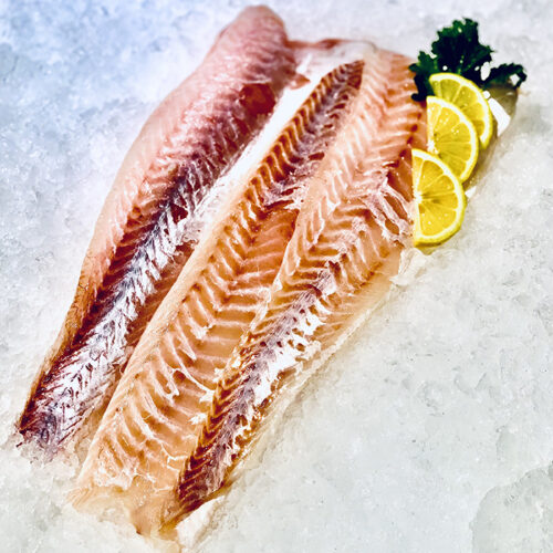 Filet de Abadejo x kg – San Antonio